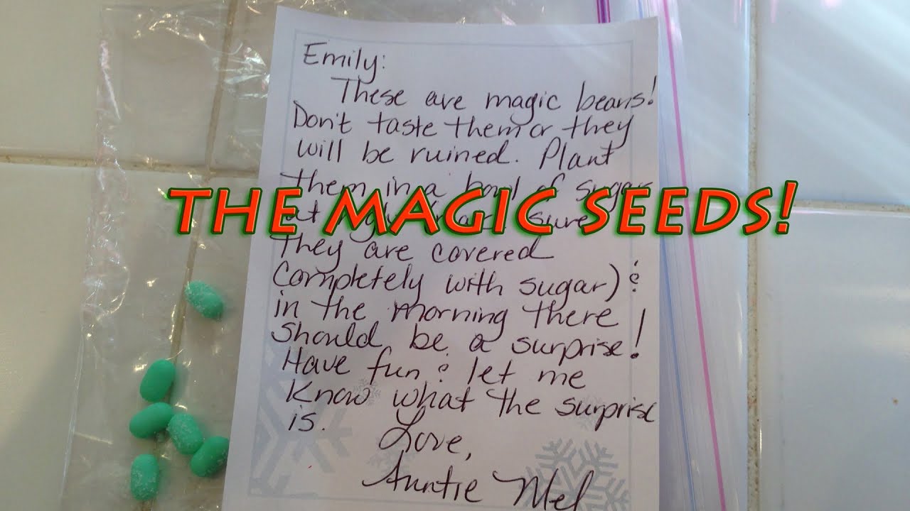 Magic Seeds! - YouTube