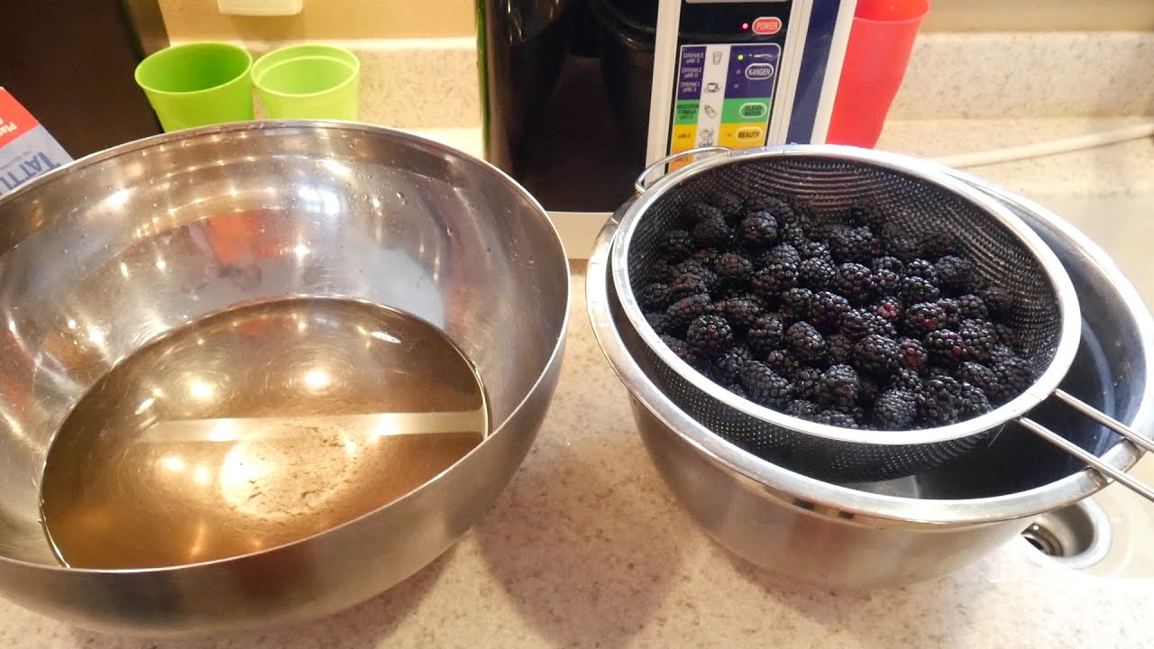 Washing Yellow Off Blackberries with the Water Of Champions - YouTube