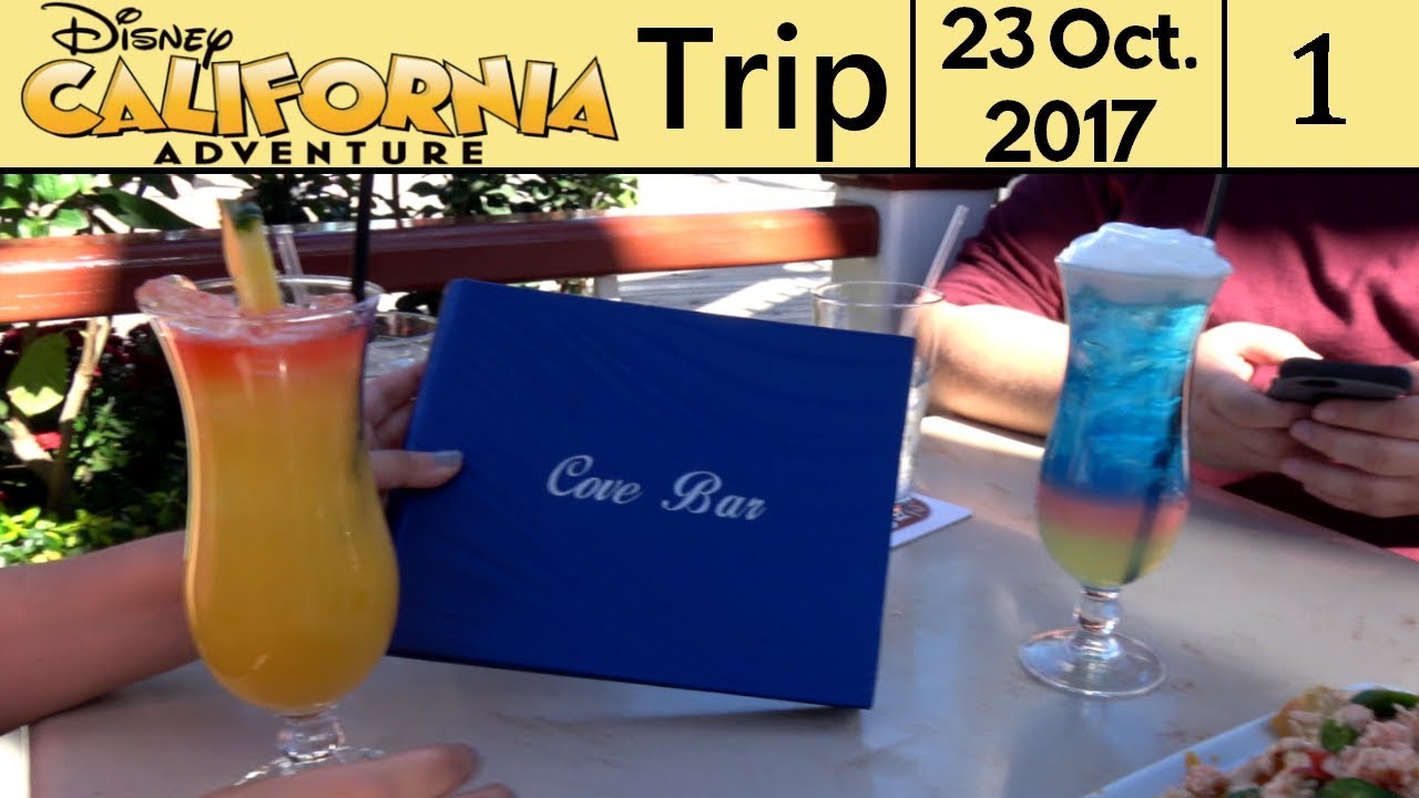 (4K) Drinks at the Cove Bar with New Faces! CALIFORNIA ADVENTURE Vlog ...