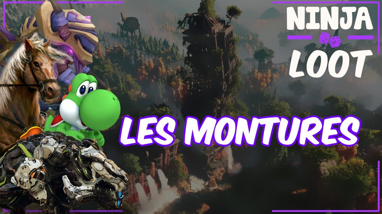 Les MONTURES, dans le jeu vidéo | NINJA LOOT - YouTube