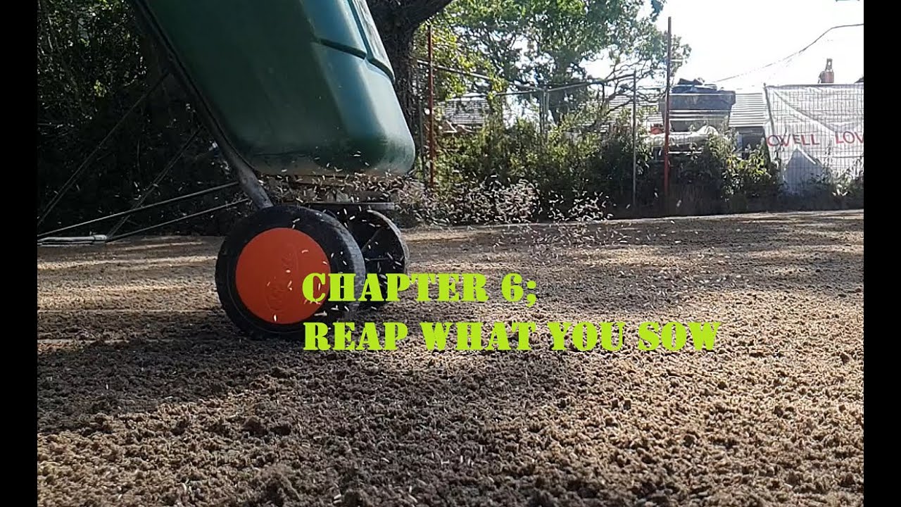 The Best Way to Seed Your Lawn // Lawn Renovation Chapter 6; Reap What ...