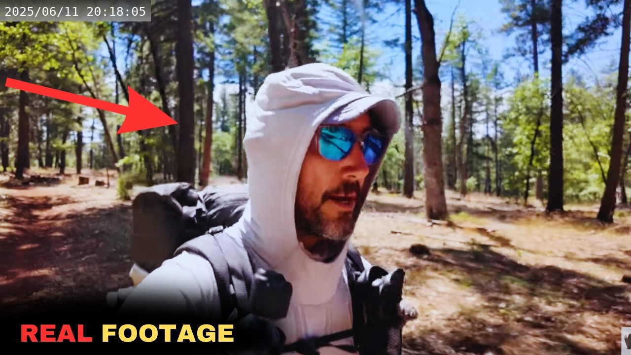 6 Most DISTURBING Wilderness Encounters Ever Caught On Camera - YouTube