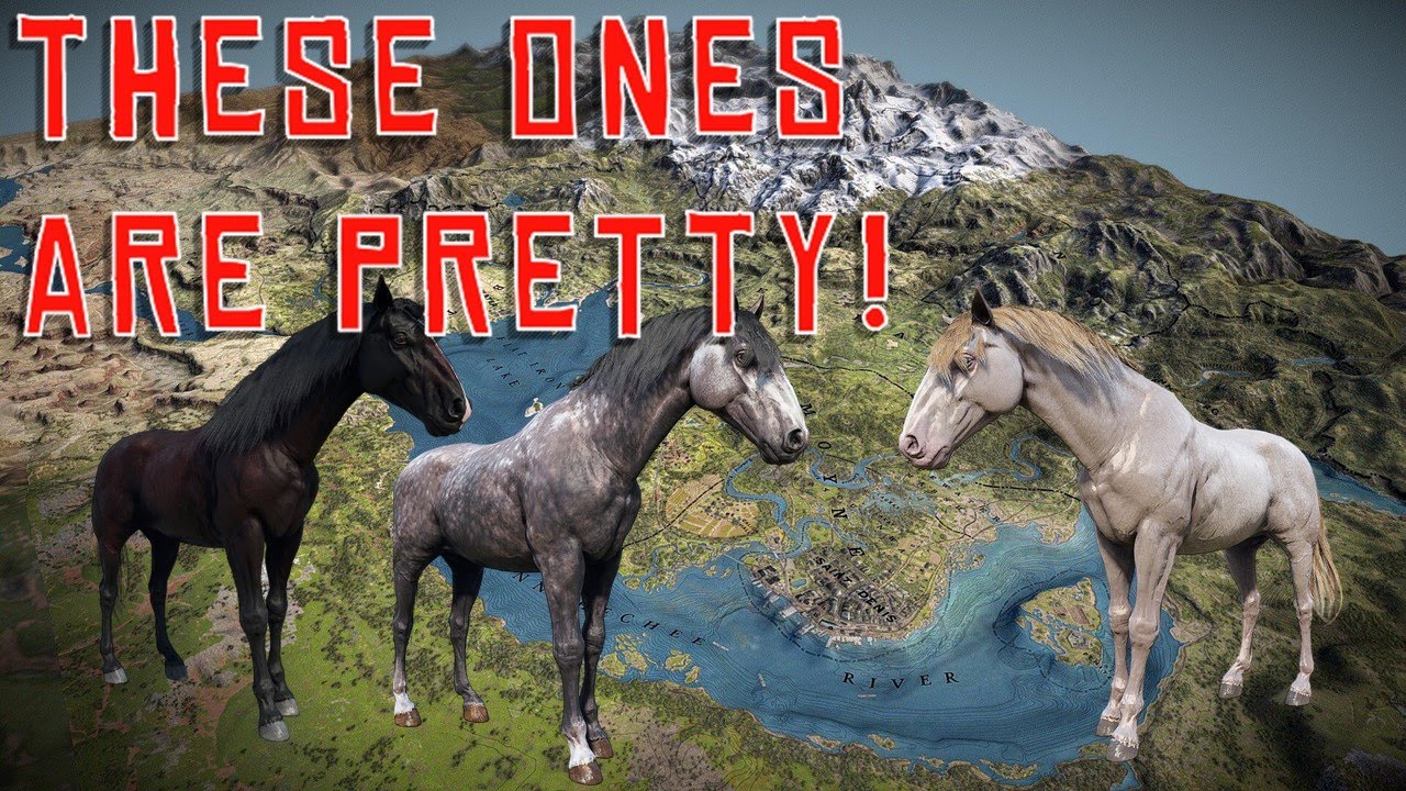 WHERE TO FIND ANDALUSIAN HORSE COATS | RED DEAD REDEMPTION 2 - YouTube
