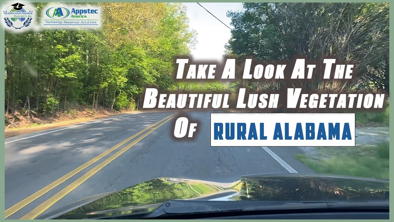 Ep145_Take A Look At The Beautiful Lush Vegetation Of Rural Alabama ...