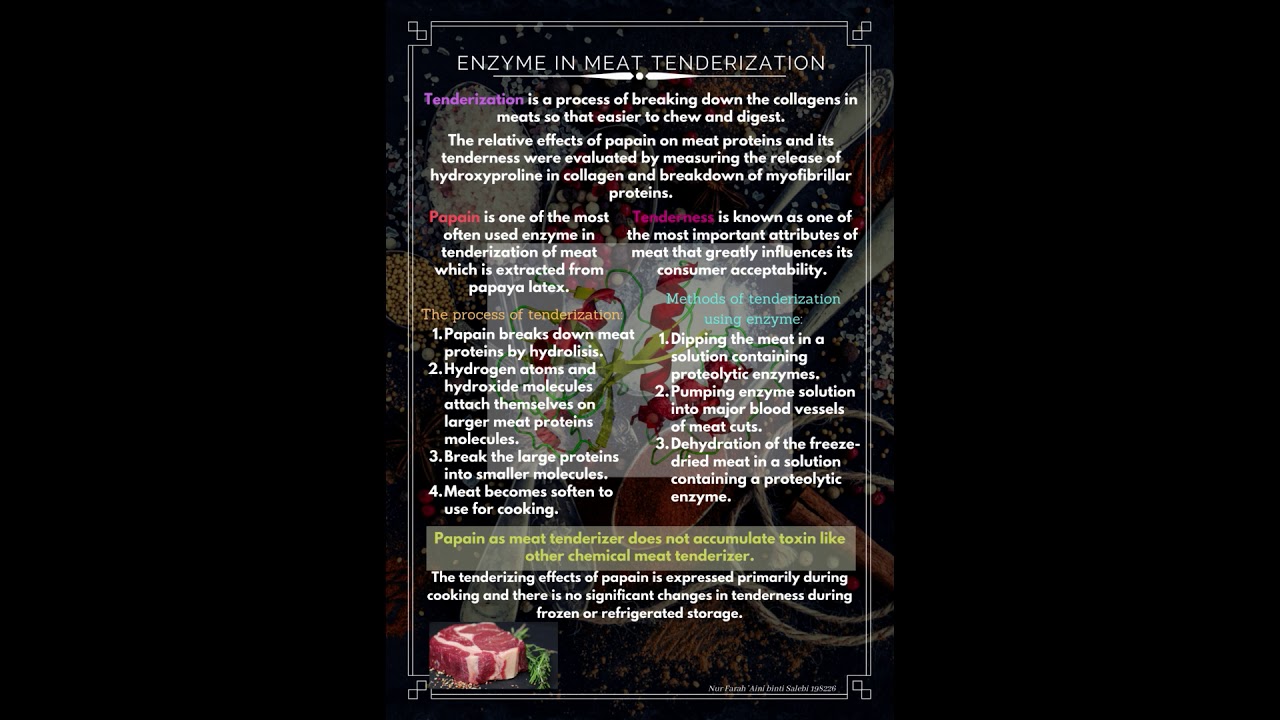 Enzyme in Meat Tenderization - YouTube