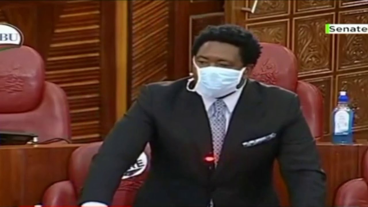 SENATOR OLEKINA TEACHES SENATE HOW TO READ CONSTITUTION REMEMBERING ...