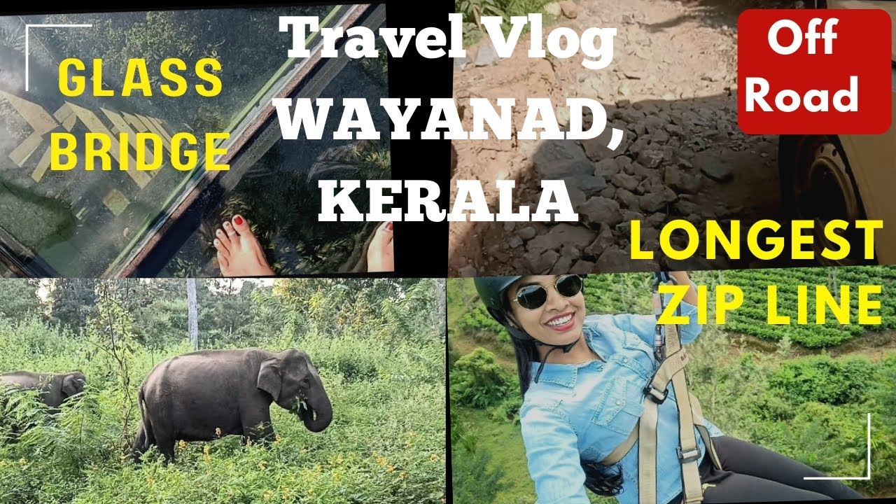 Bangalore to Wayanad Vlog 2023| Glass Bridge|Longest Zip Line|Off Road ...
