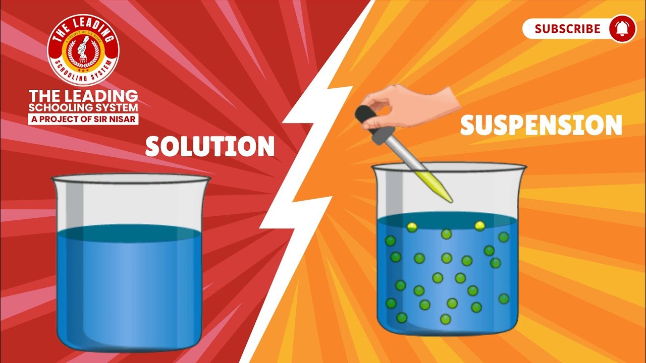 Solution vs Suspension | Science Class Activity at The Leading ...