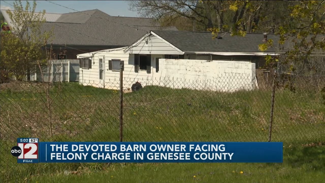 The Devoted Barn Owner facing felony charge, arrest warrant in Genesee ...