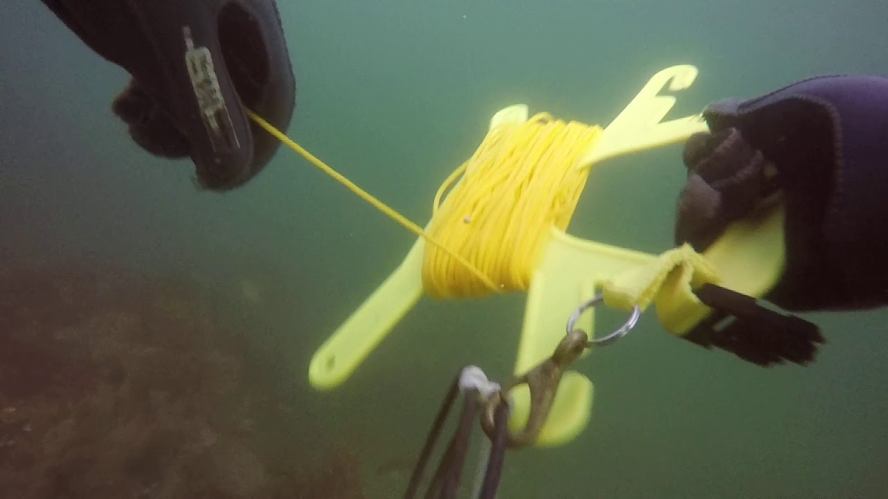 Scuba Diving Cape Cod for Lobster Sandwich, MA 2017 - YouTube