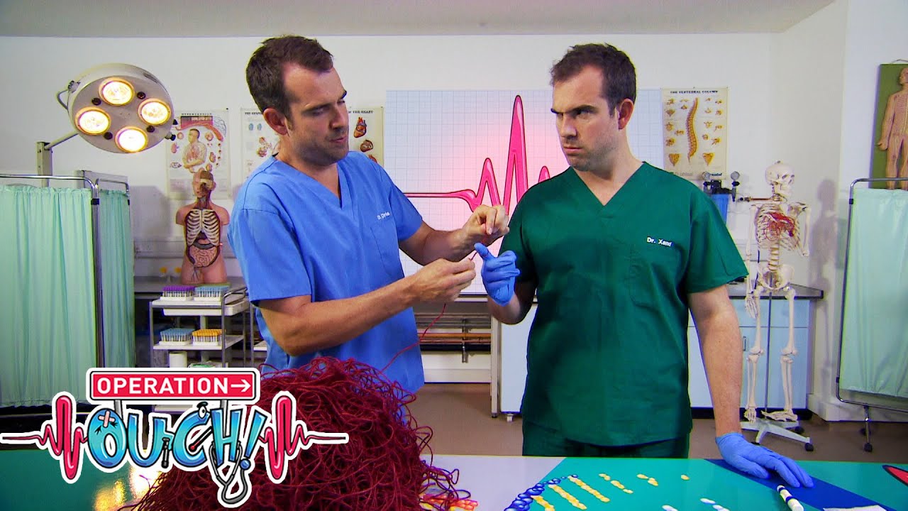 Blood Equipment | #Clip | TV Show for Kids | Operation Ouch - YouTube