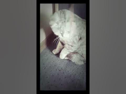 Лучшее занятие - игра с наушниками !!! - YouTube