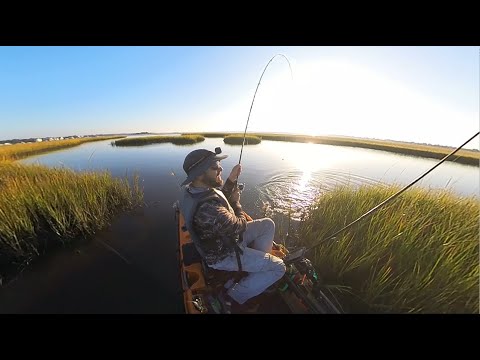 Bait destroyed by sheepshead! Kayak fishing Sloop Point Marina NC - YouTube
