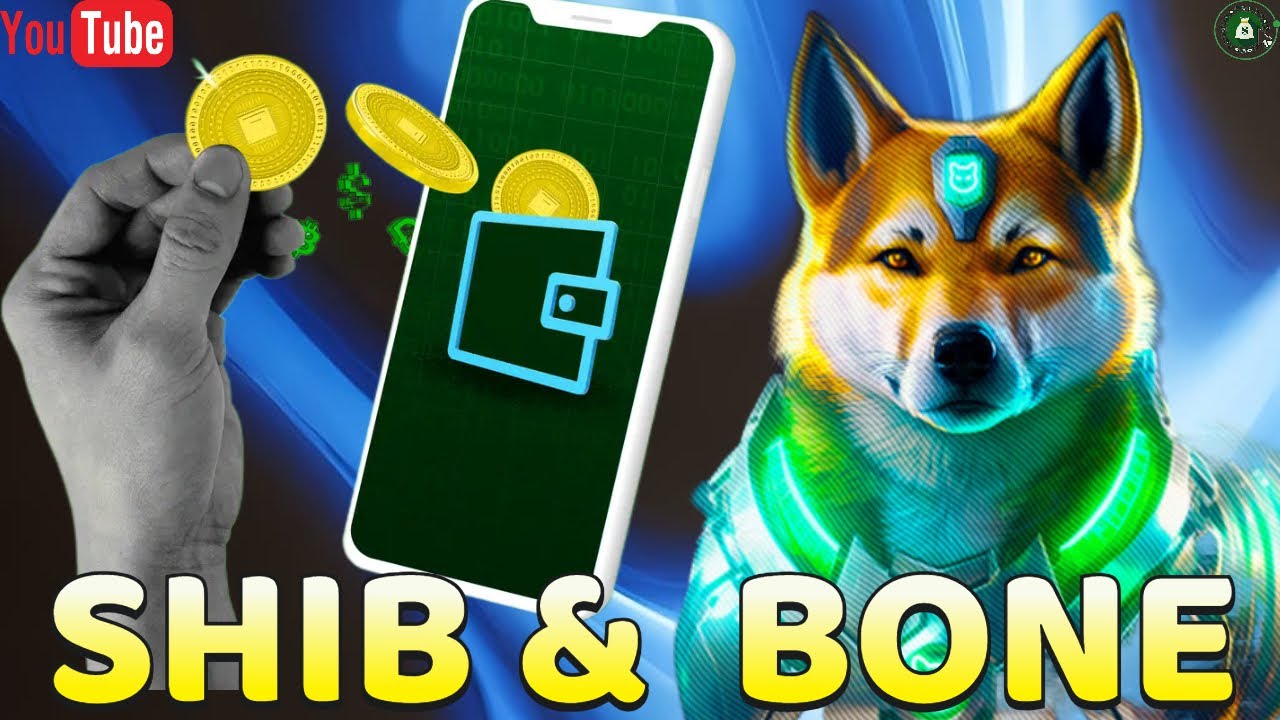 Wallet Shibarium SHIB et BONE - Analyse Crypto Fr - YouTube