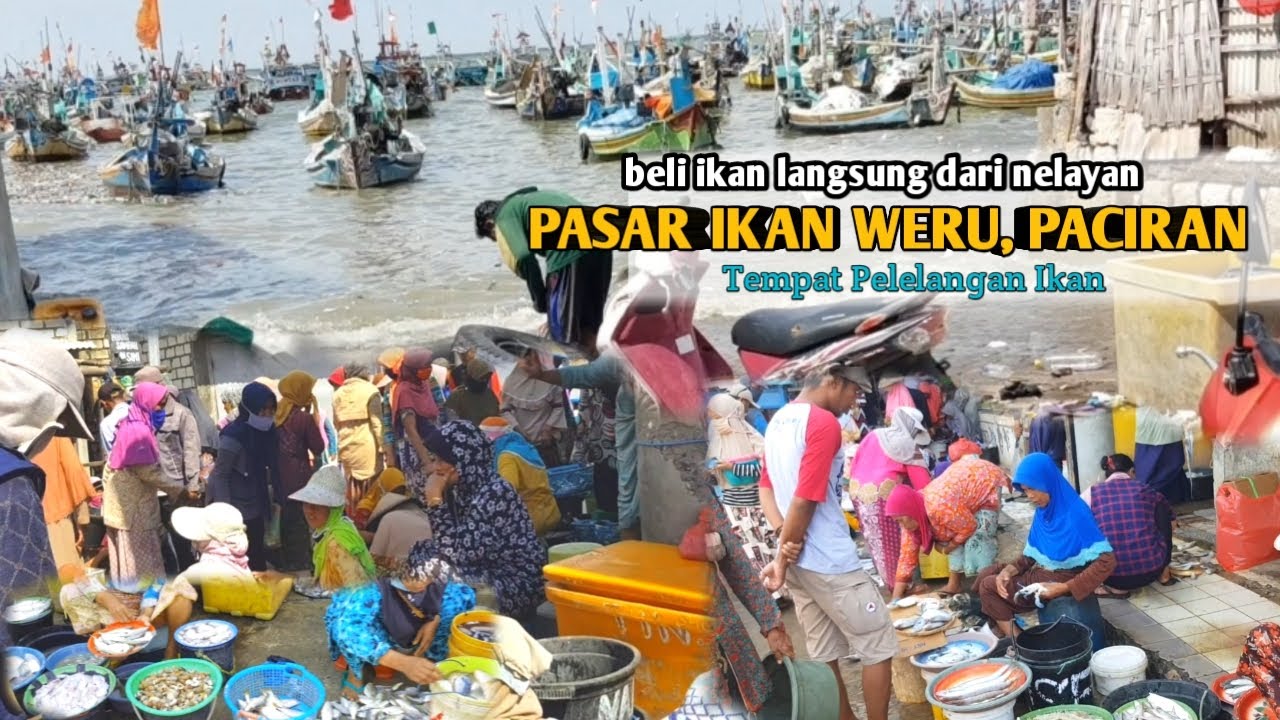 PASAR IKAN WERU PACIRAN TPI HARGA MERAKYAT | #nengwidiastuti #nelayan # ...