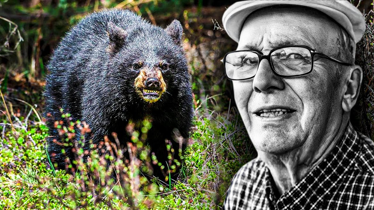 The Most FAMOUS Bear Attack On Gene Moe - YouTube