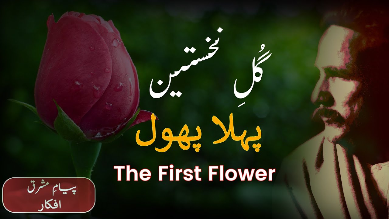 Payam-e-Mashriq: 01 | First Flower | Allama Iqbal | Iqbaliyat ...