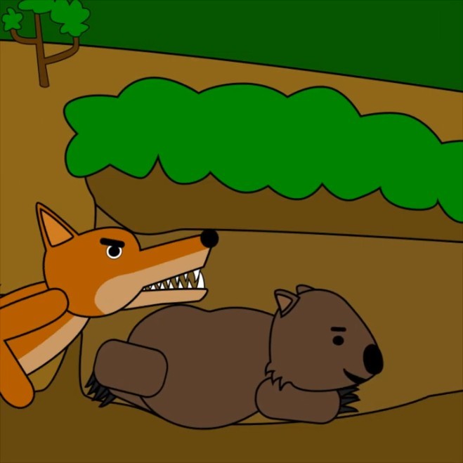 Wombat vs Dingo #wombat #animation #animals - YouTube