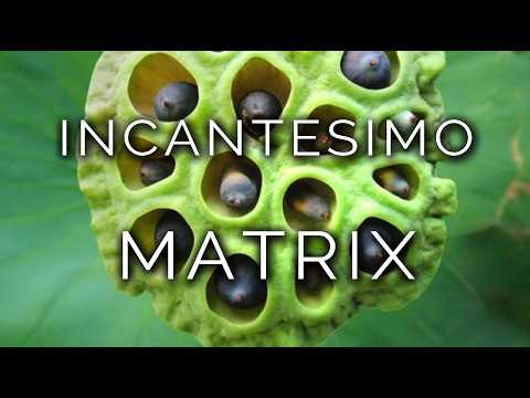 2510-IT INDAGINE, INCANTESIMO MATRIX - Ipnosi Esoterica ∞ Lucio Carsi