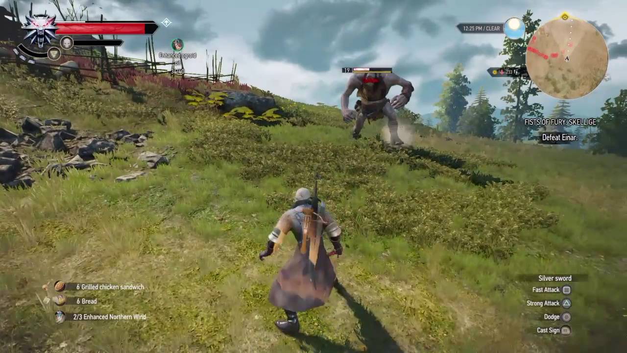 THE WITCHER 3 lvl 37 vs lvl 19 cyclops-enhanced northern wind bomb ...