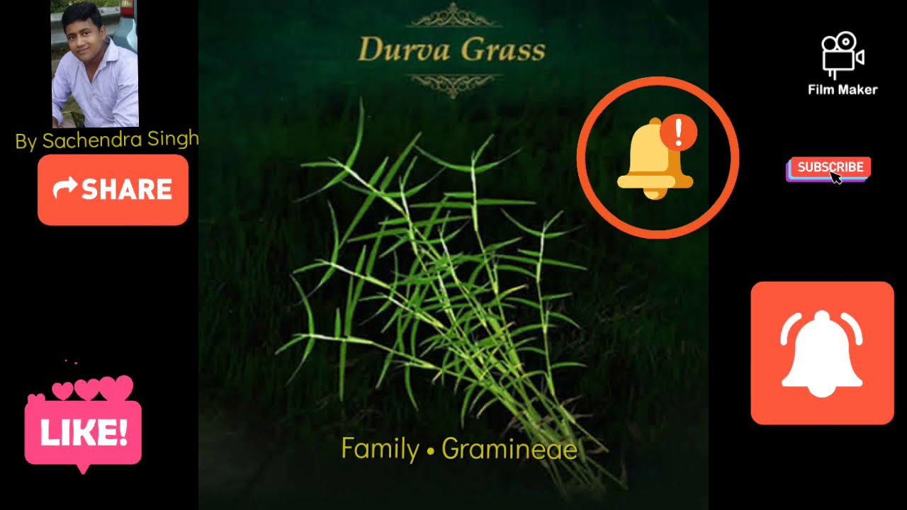 Durva, Doob Grass - YouTube