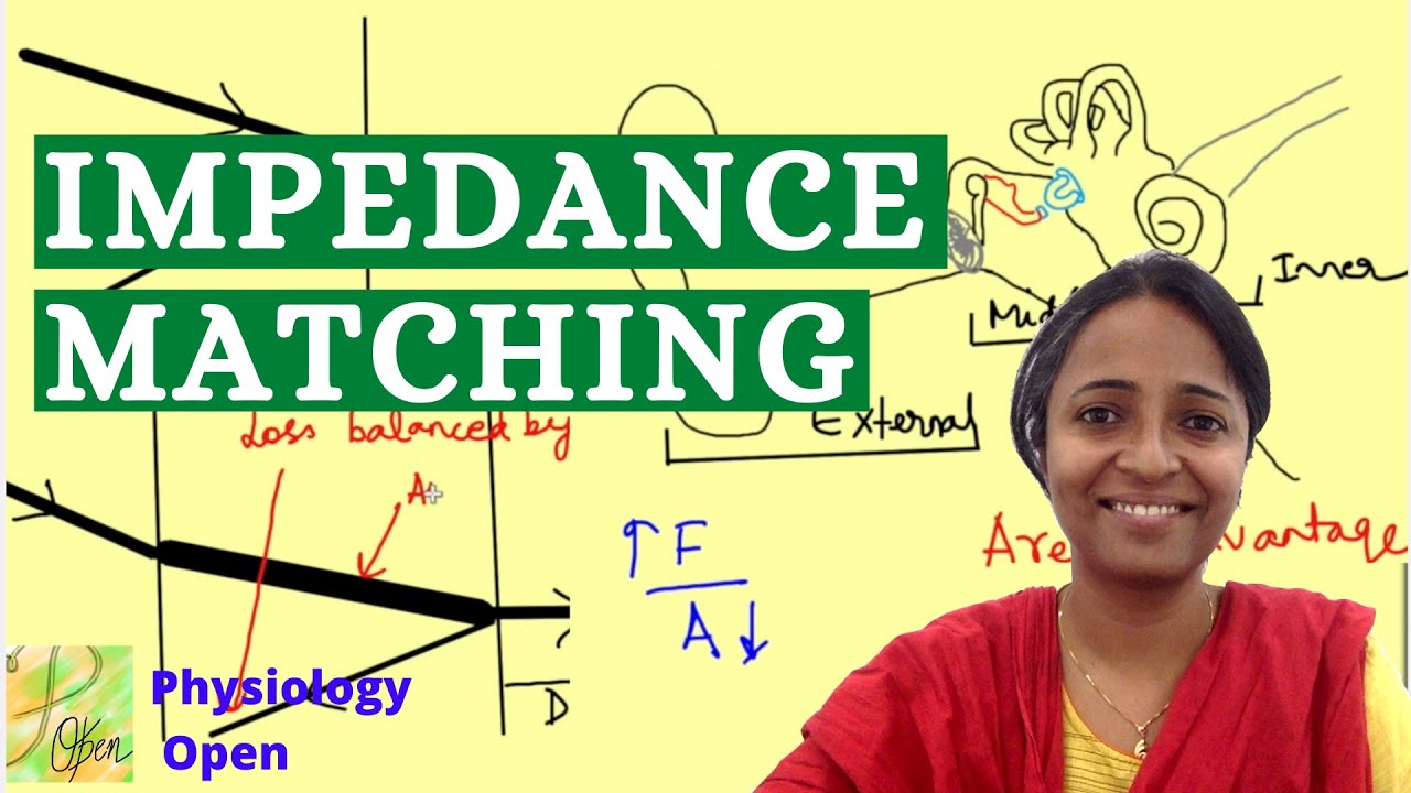 Impedance Matching Physiology Of Hearing Auditory System Physiology Mbbs 1st Year Lecture impedance-matching-physiology-of-hearing-auditory-system-physiology-mbbs-1st-year-lecture