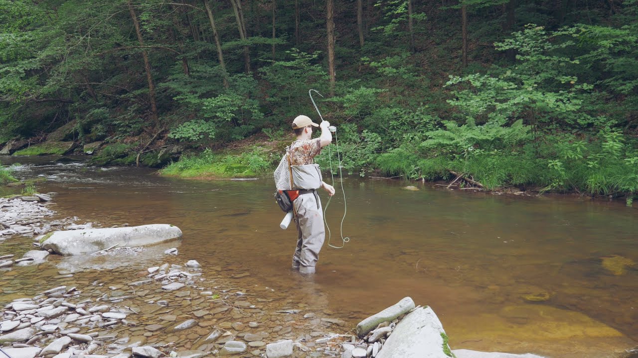 Fly Fishing Slate Run PA #SHORTS - YouTube