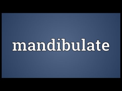 What Is The Mandibulate Insects