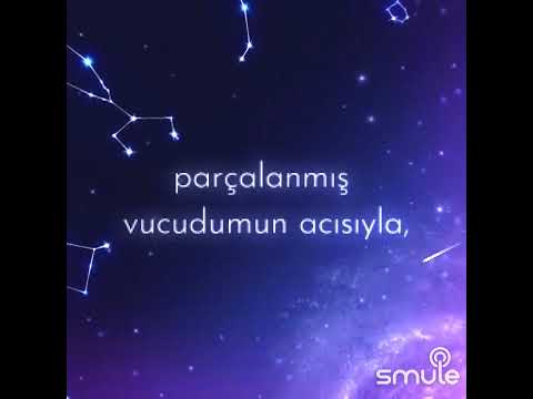 yılmaz güney...bu alemde kral tanımam 🇹🇷🇹🇷🇹🇷🇹🇷🚬🚬🚬