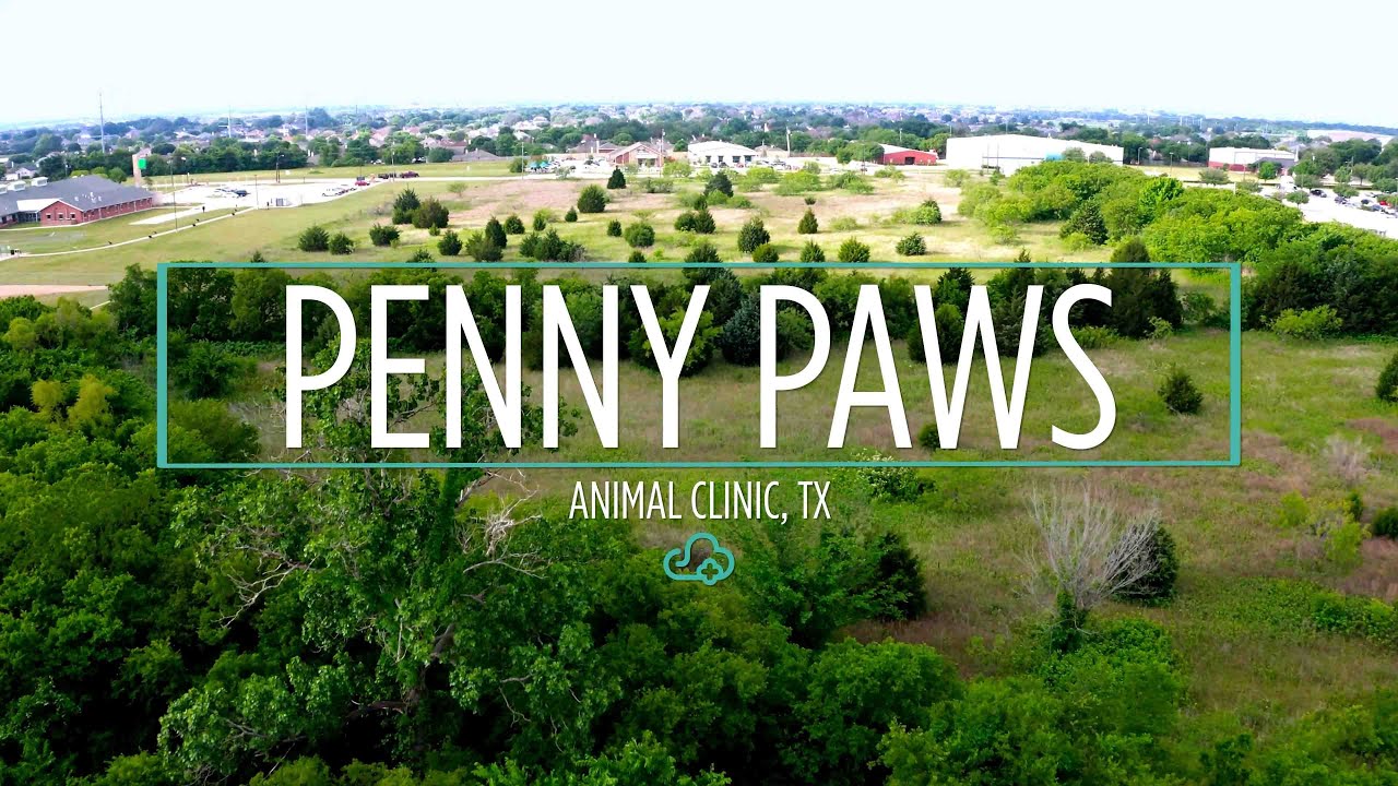 ezyVet Customer Story - Penny Paws Animal Clinic - YouTube