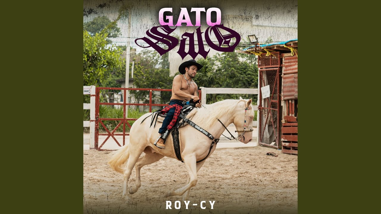 Gato Sato - YouTube