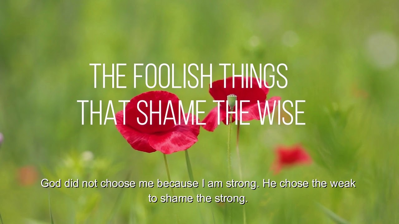 The Foolish Things That Shame The Wise (1 Corinthians 1:26-29) Mission ...