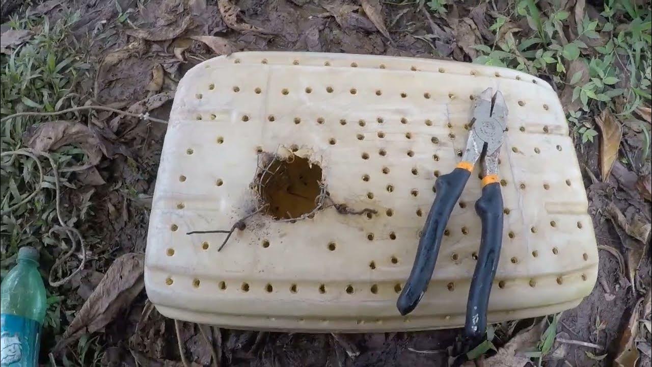 Finca! Cómo hacer trampas para camarones con materiales simples y capturas. - YouTube