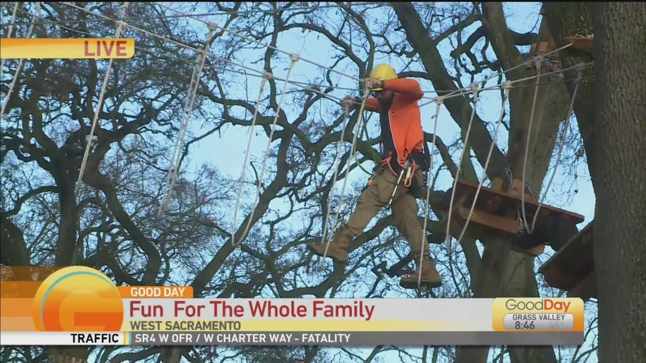 Tree Top Sac - YouTube