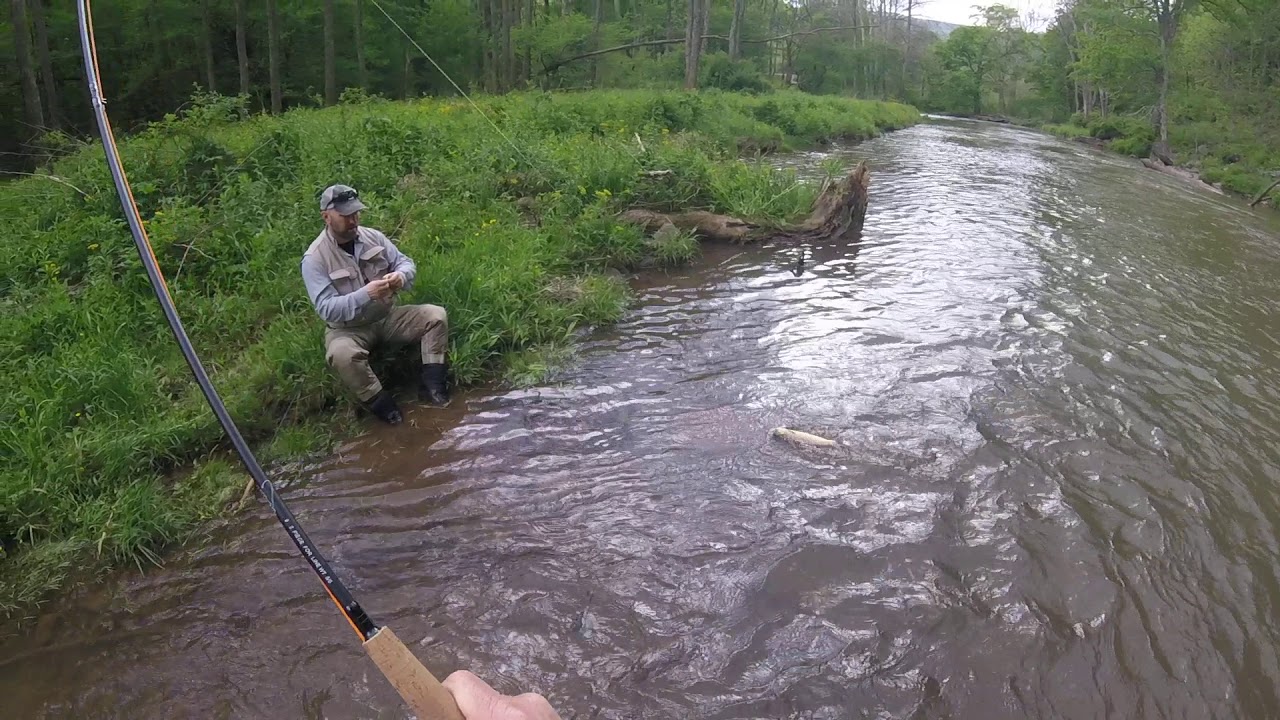 JEFF CATCHES A BROWN TROUT - YouTube