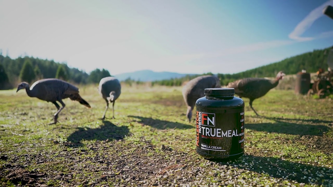 30% off True Meal! Sign Up Now! go to True Meal Page to sign up! - YouTube