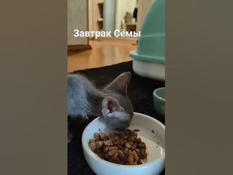 Хрустим - YouTube