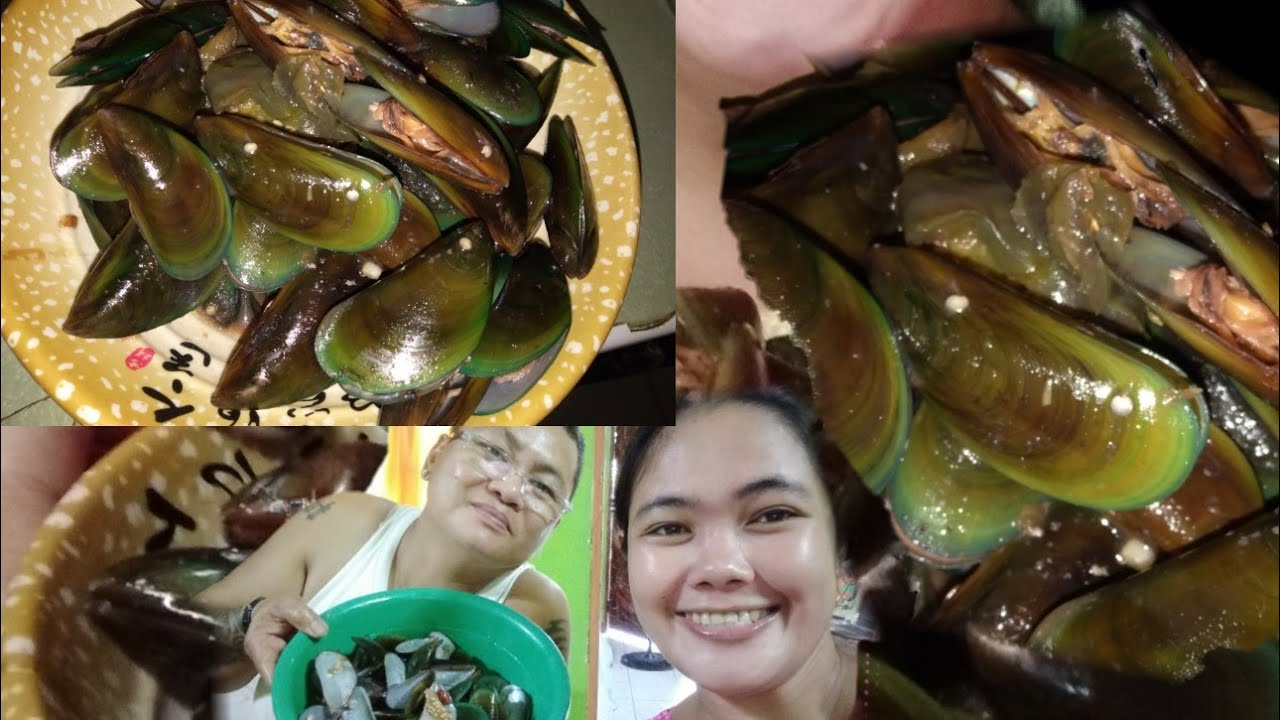 Green shell with eggplant guisado - YouTube