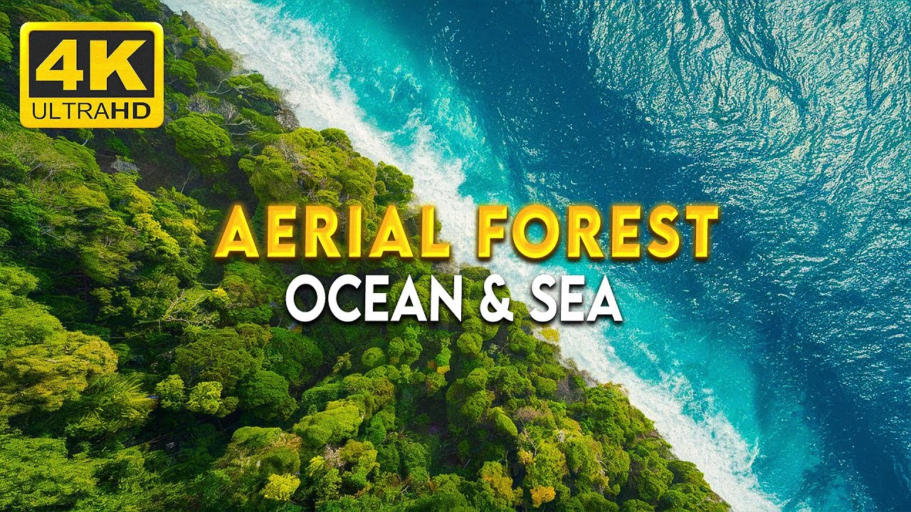 Aerial Views Of Forests, Oceans & Sea | Ultimate Relaxation & Focus ...