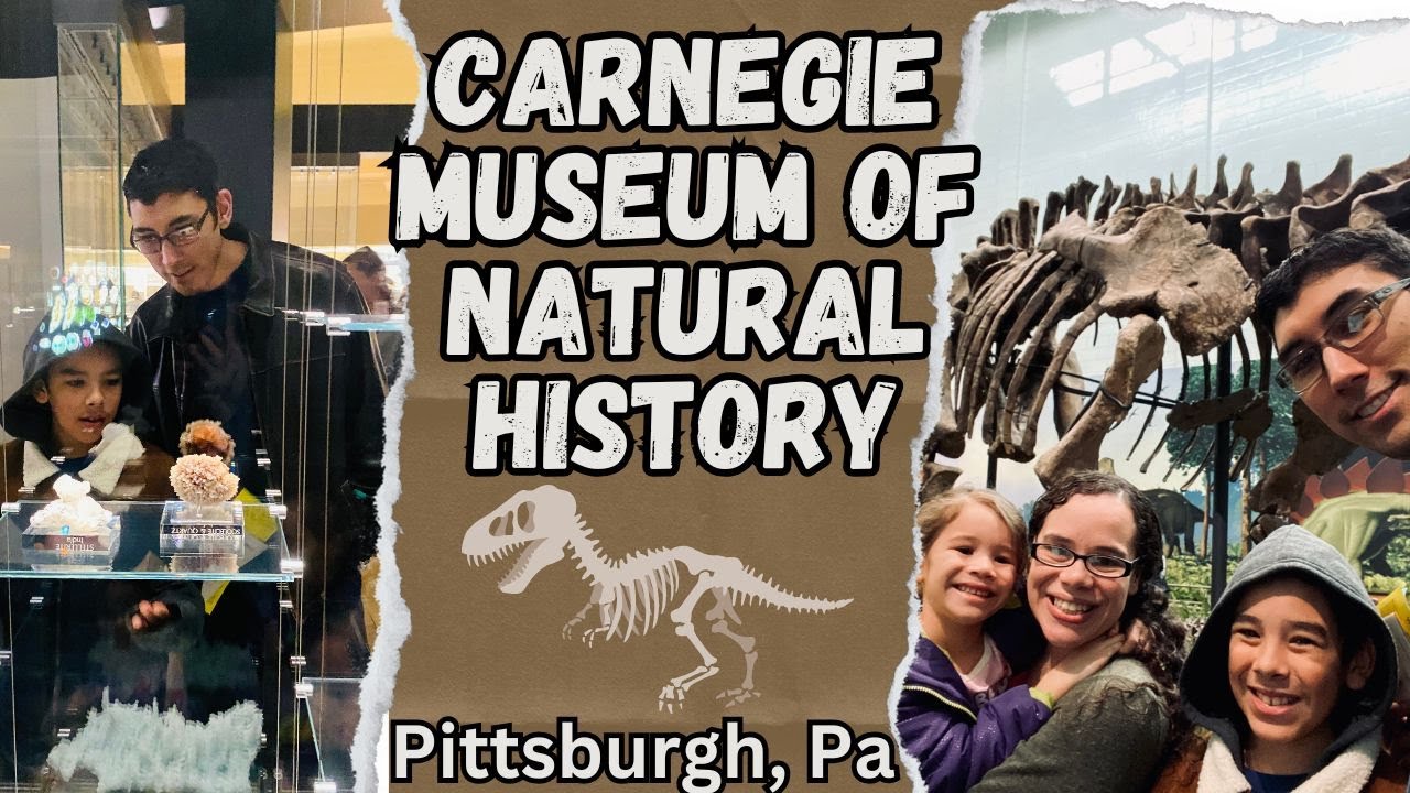 Visiting Pittsburgh Carnegie Museum of Natural History - YouTube