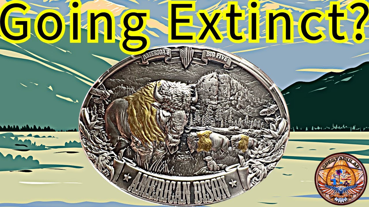 Silver Going Extinct SOON? The American Bison 5oz Coin. - YouTube