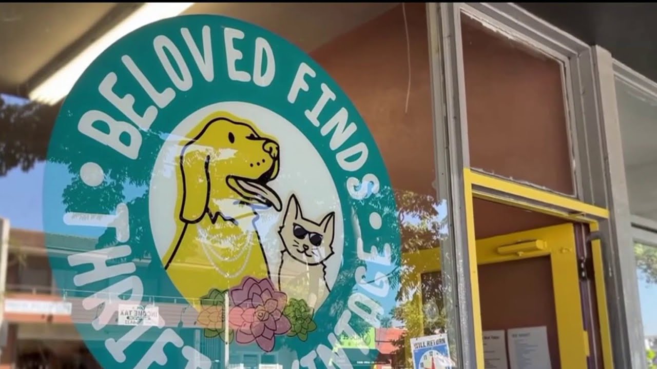 Pop-up thrift shop in North Park supports a new pet rescue each month ...