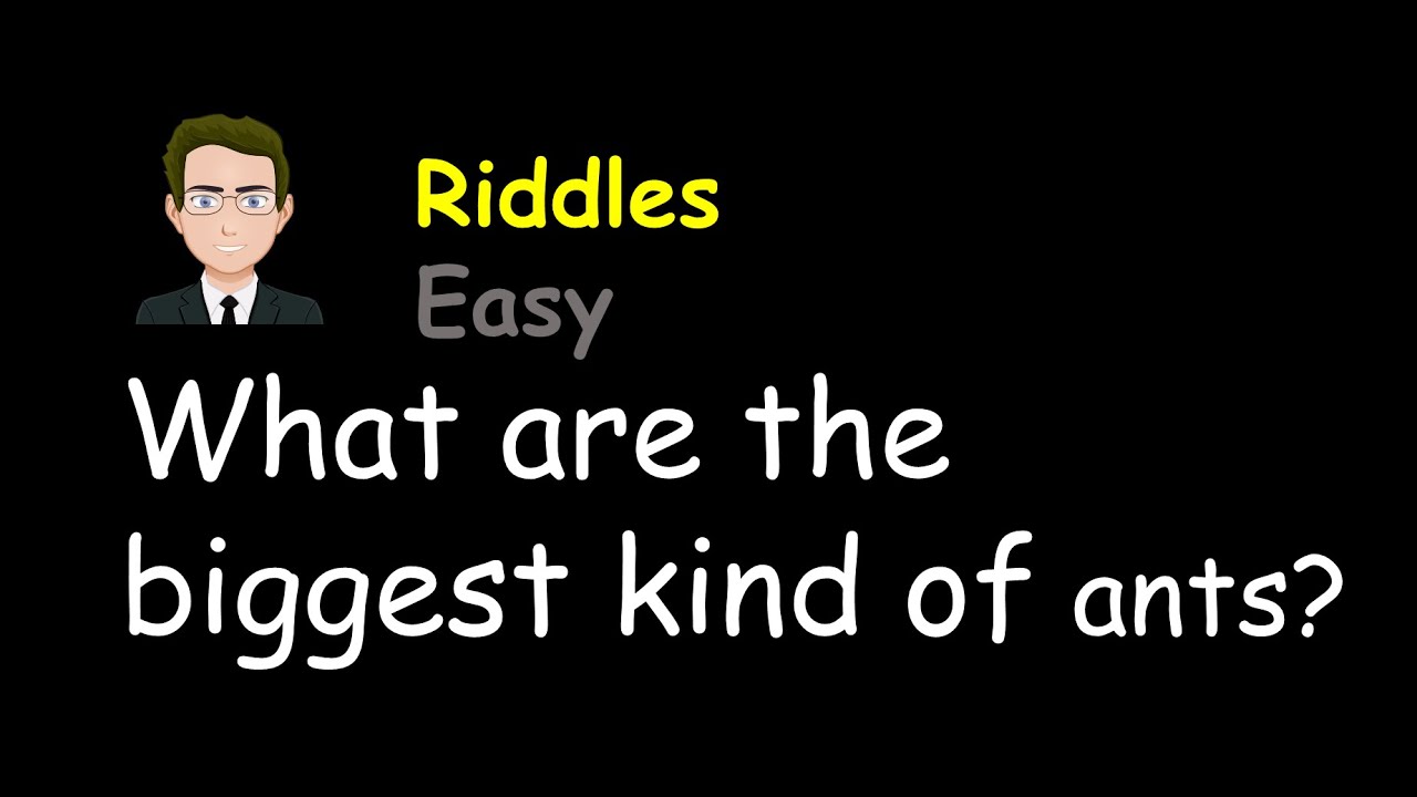 Riddles: What are the biggest kind of ants? - YouTube