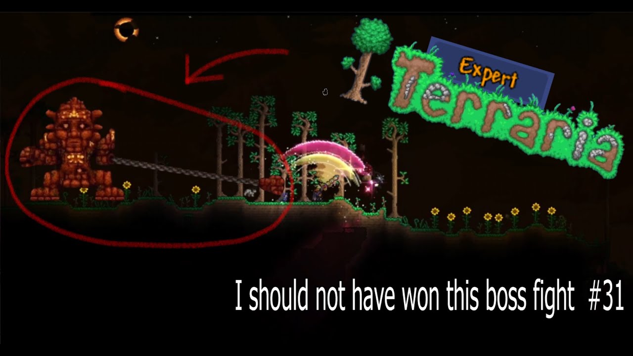 I should not have won this boss fight | Expert Terraria #31 - YouTube