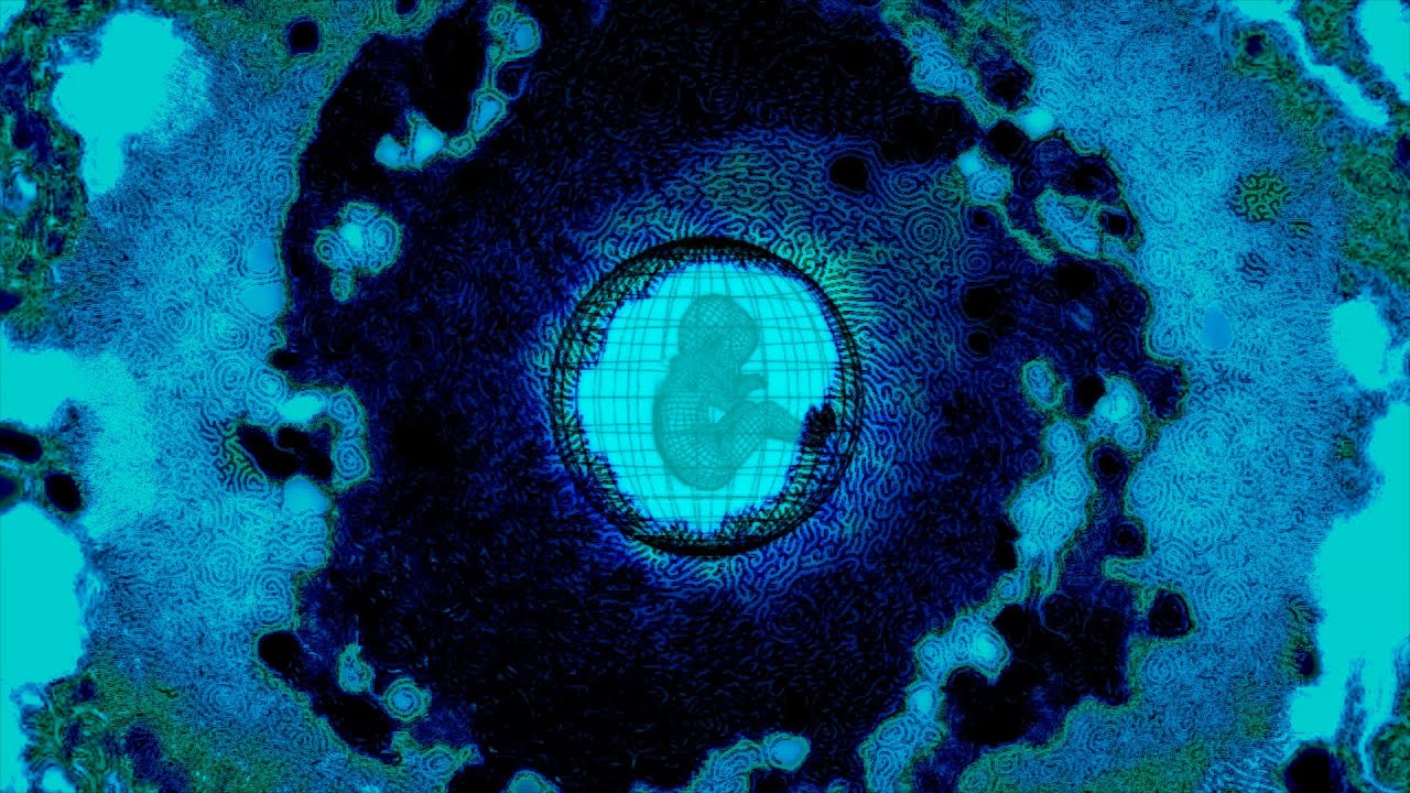 Free Radicals (Abstract Lifeforms) by @Nightshot.rec - YouTube
