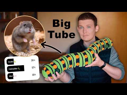 Ich habe eine riesige Raupe für meinen Hamster gebastelt.