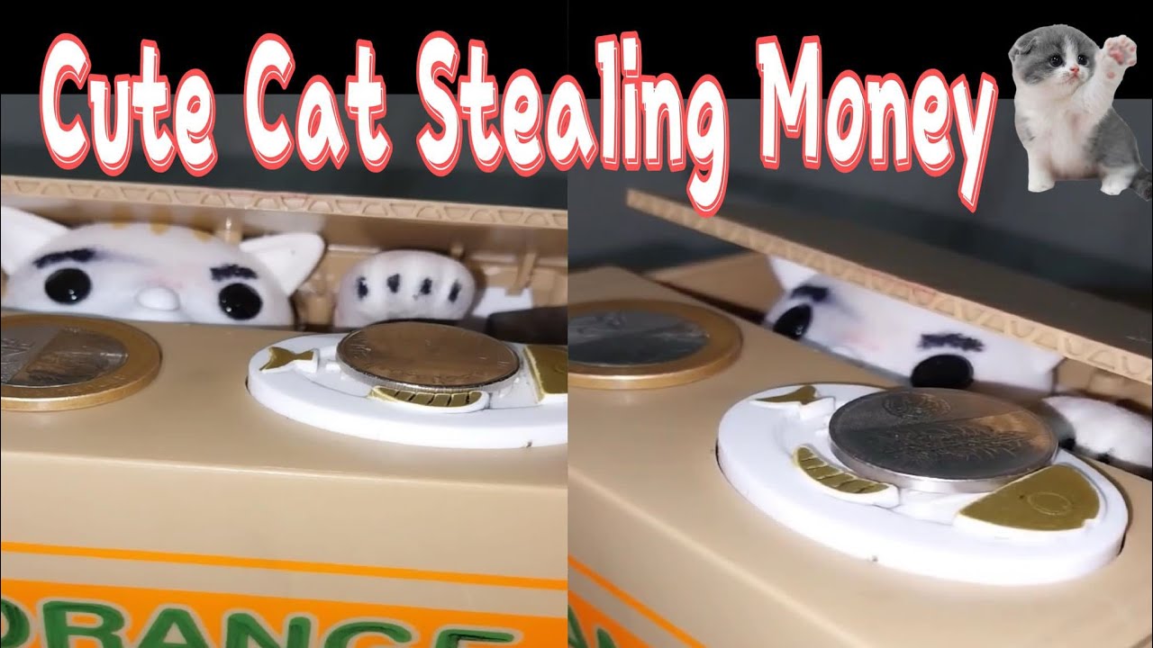 ASMR ODDLY SATISFYING CAT STEALING COINS 🙀🙀 #satisfying #cat #toys ...