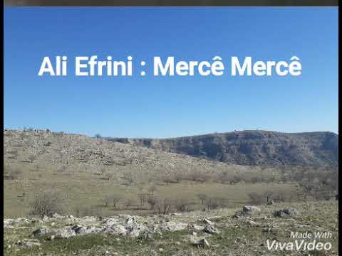 Ali Efrini : Merce Merce
