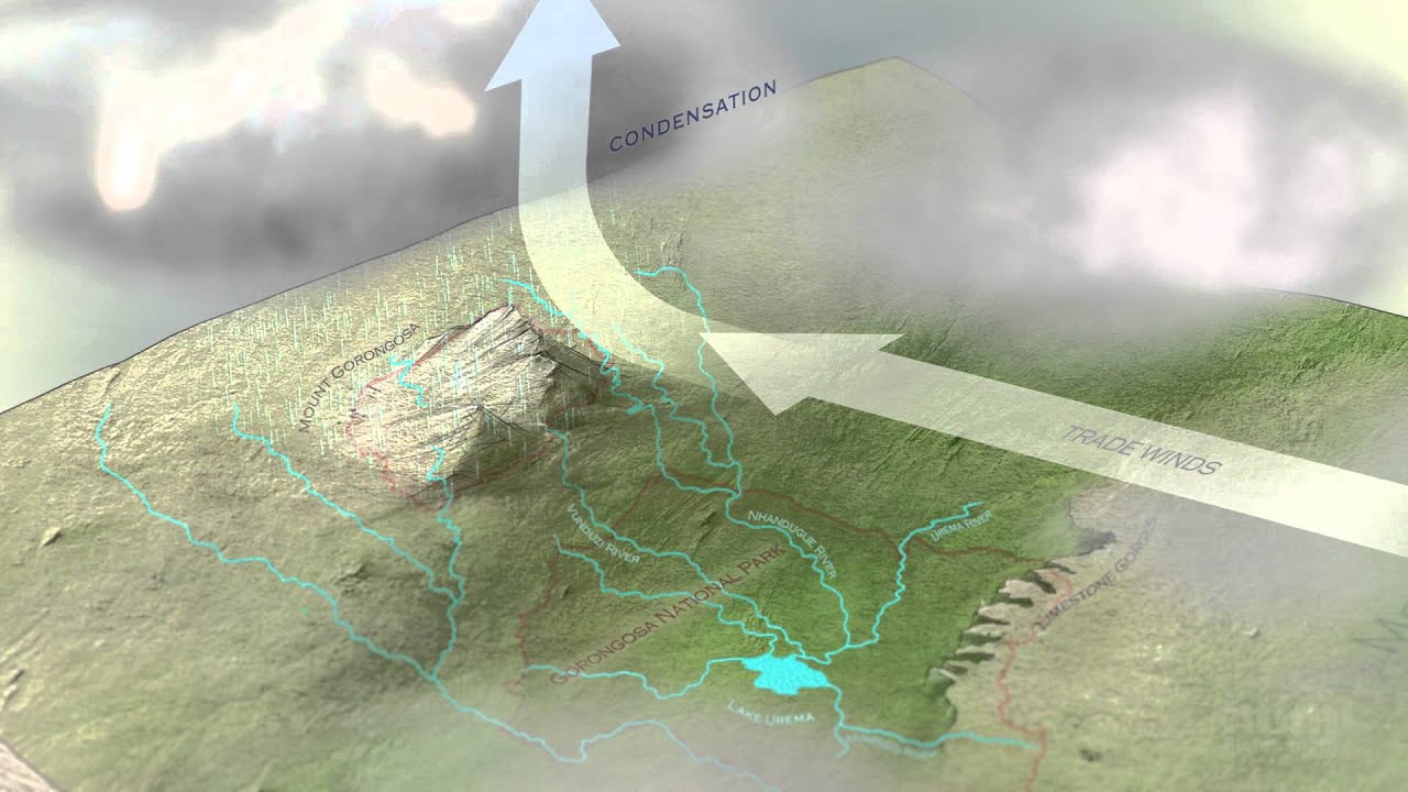 Gorongosa's Water Cycle — HHMI BioInteractive Animation - YouTube