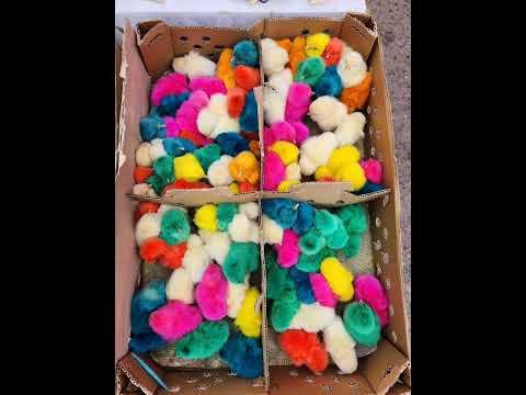 #gilan #iran #rudsar #beautiful #nature